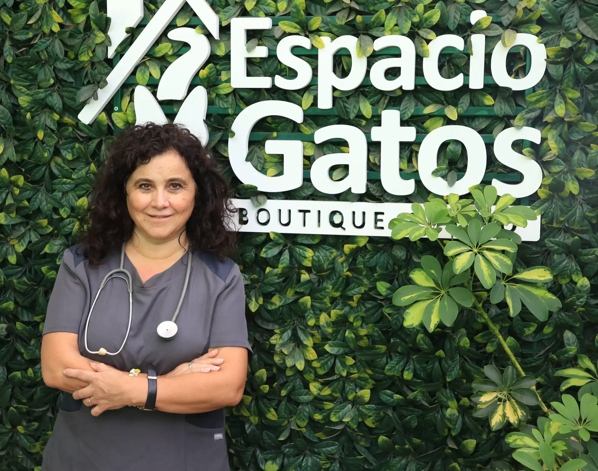 Guardería para gatos en CABA: precios, qué incluye y de qué depende ...